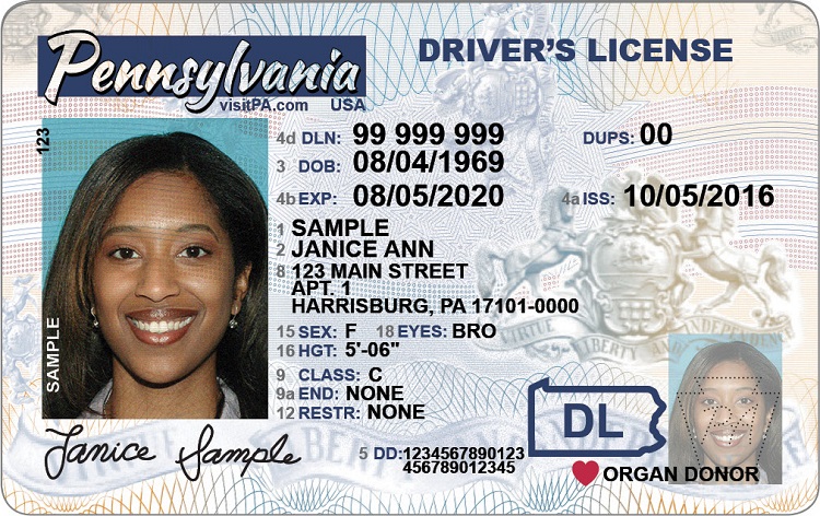 License, ID card holders can save lives through organ donation - El Sol News Media