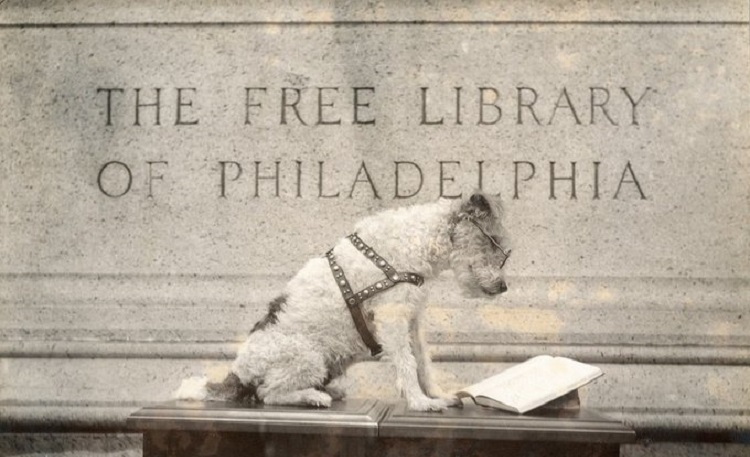 Free Library of Philadelphia fomenta el aprendizaje e inspira ...