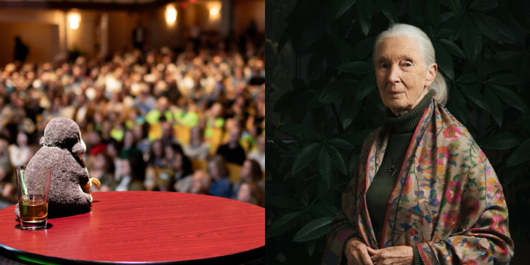 El legado de la experta en primates Jane Goodall - El Sol News Media